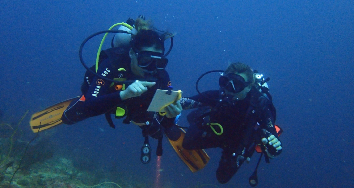 French Kiss Divers Malapascua | Fun Dives - Plongez avec nous